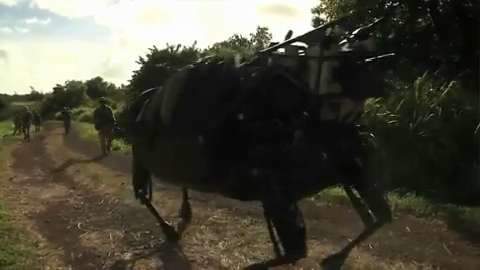 Latest In Defence - QEII Carrier floated out; US Marines LS3 robot ...