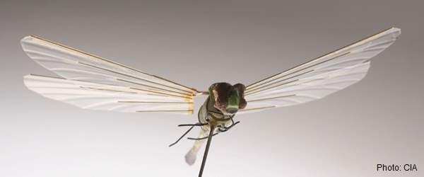 Robotic insects add whole new meaning to ‘Fly-on-the-wall’ surveillance