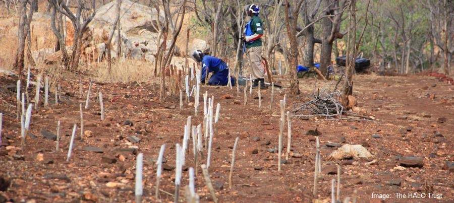Winning the war on landmine casualties