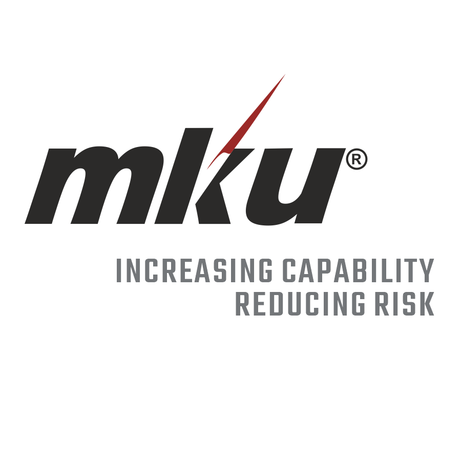 Spain Considers Saudi Arms Deal - Army Technology